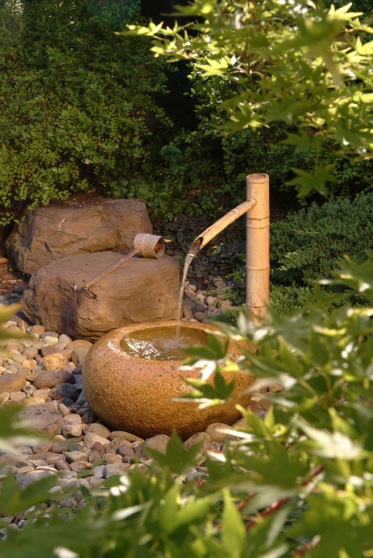 Pools, Spas & Garden Ponds | Petro Design Build Group